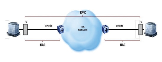 Wide Area Networking (WAN)|FiberGuide Carrier Solutions